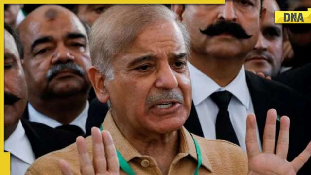 DNA Special: What is happening in Pakistan? How bad is its economic crisis?