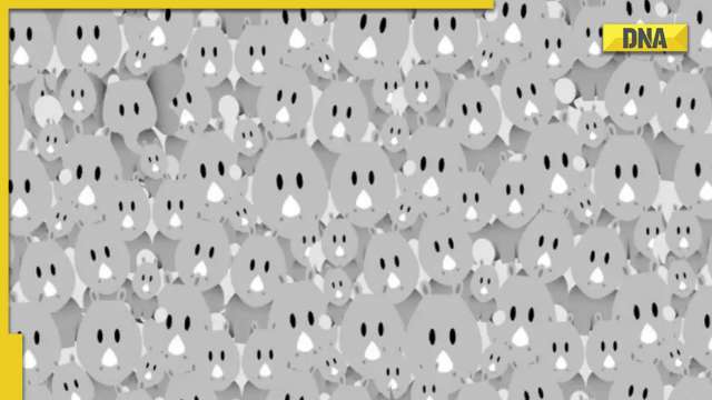 Optical illusion: Only 2% people can spot elephant hidden in THIS pic