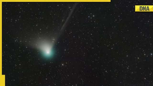 Rare green comet comes closest to Earth since stone age: Netizens share photos, videos on Twitter