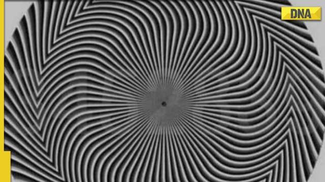 Optical Illusion Only 2 People Can Spot The Hidden Number In This Pic