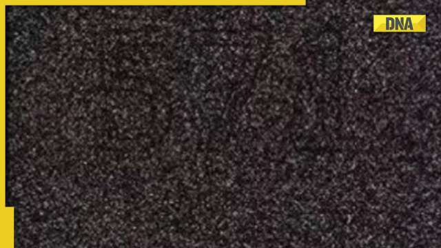 Optical illusion: Only a genius can spot a hidden number in THIS pic