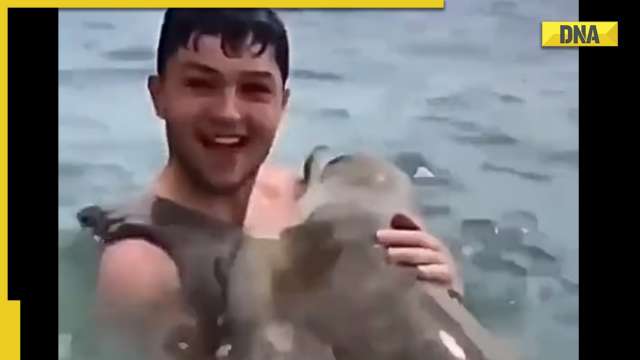 'Sealed with love': Viral video of seal unexpectedly hugging man melts ...