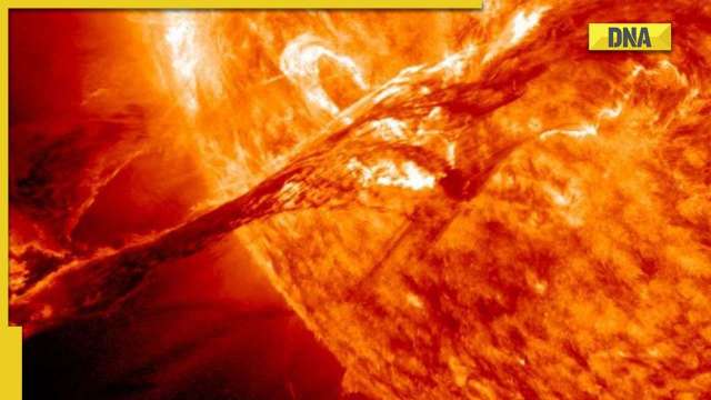 DNA Verified: Did a piece of Sun 'break off'? Read the truth behind the ...
