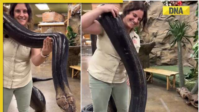 'Bahubali 2.0': Woman carries huge python all by herself, viral video ...