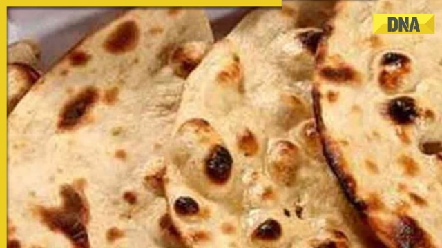 Have left over roti at home? Mouth-watering fast foods to make with ...
