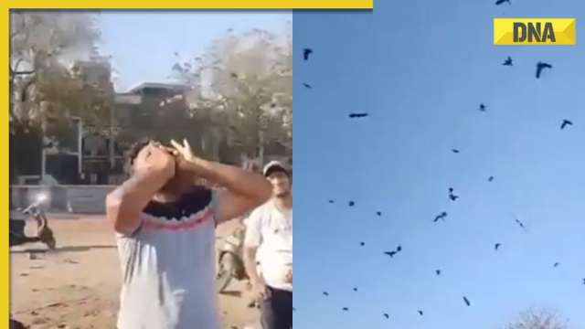 'Crow Man of India': Man fills the sky with crows by making unique ...