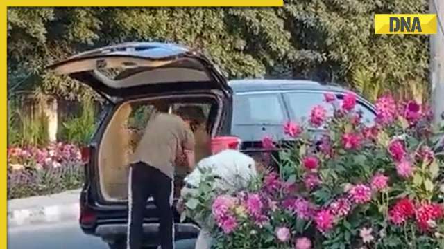 Viral video: Two men in SUV steal flower pots set up for G20 event in ... Viral video: Two men in SUV steal flower pots set up for G20 event in ...