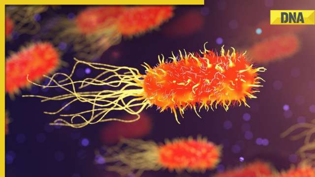 Shigella bacteria threat in US: Know symptoms, causes and prevention of ...