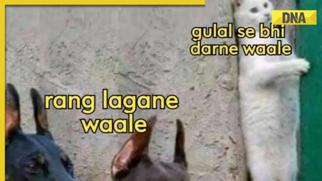 Happy Holi 2023: Check out hilarious memes that will add more colour to ...