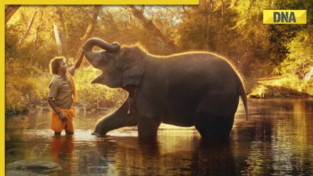 The Elephant Whisperers becomes first Indian film to win at Oscars ...