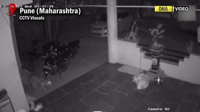 Pune News: Read Latest News and Live Updates on Pune, Photos, and ...