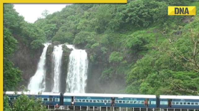 'Heaven on earth': Video showing mesmerizing view of a train passing by ...