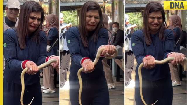 Newly married woman holds snake in bare hands, viral video shows her ...