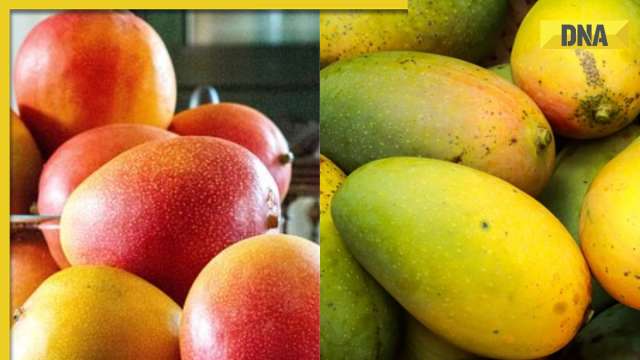 Mangoes in India with health benefits: Devour 8 types of 'aam' this ...