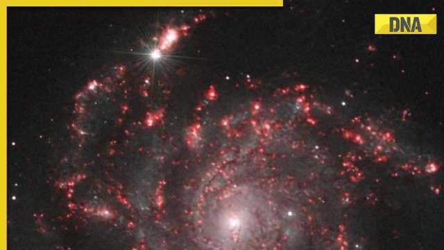 Supernova! Rare cosmic event of star exploding and disappearing ...