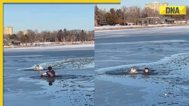Man risks life to save drowning dog, viral video makes internet tear up