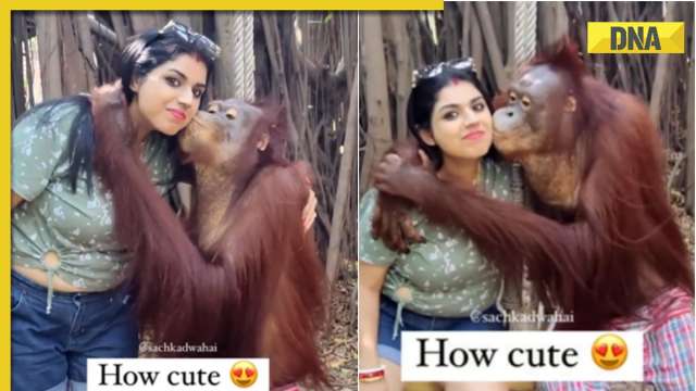 Watch: Adorable photo session between monkey and woman goes viral ...